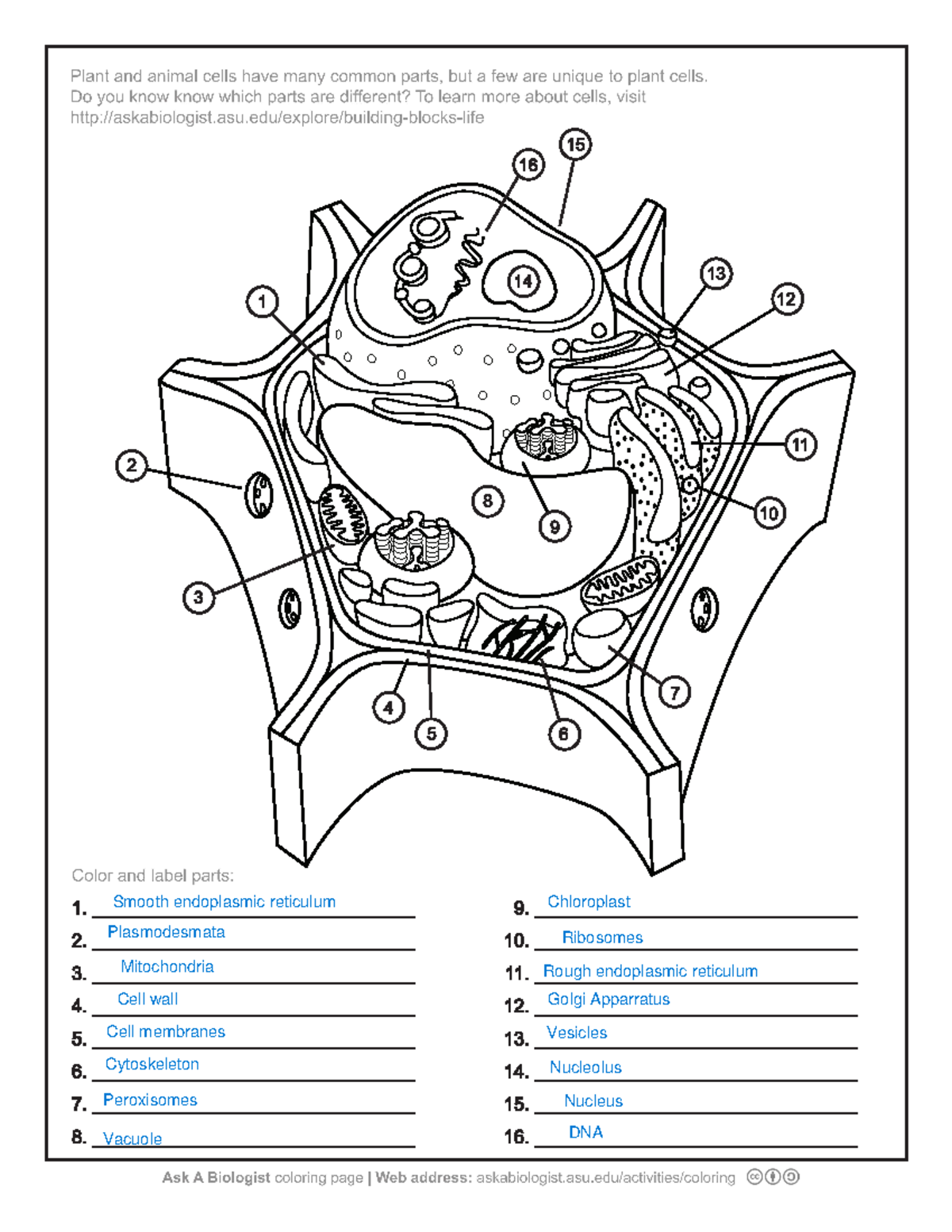 Plant Cell Worksheet-1 - Sc/Biol 2021 - Studocu