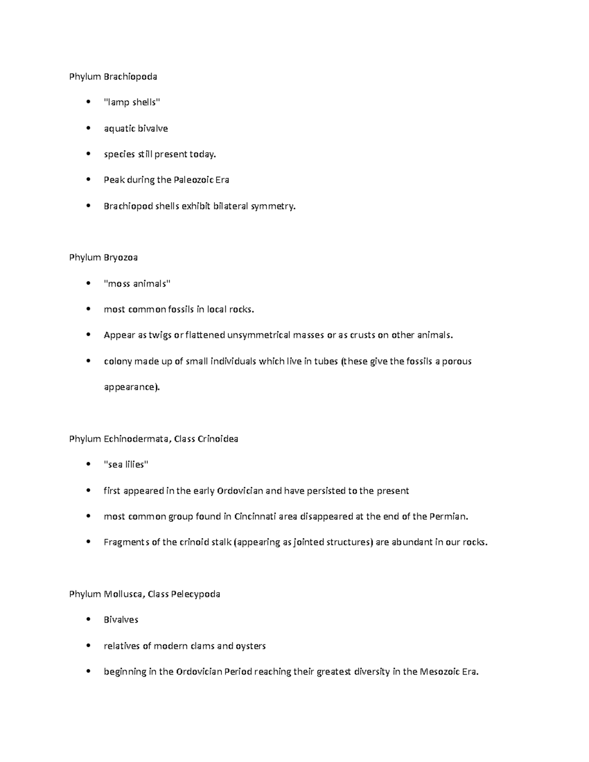 Biol fossil phylum - Phylum Brachiopoda "lamp shells"aquatic bivalve ...