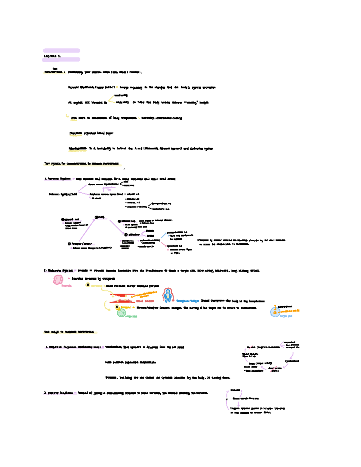 Human Phys midterm lecture 1-14 - Lectures Homeostasis - Studocu