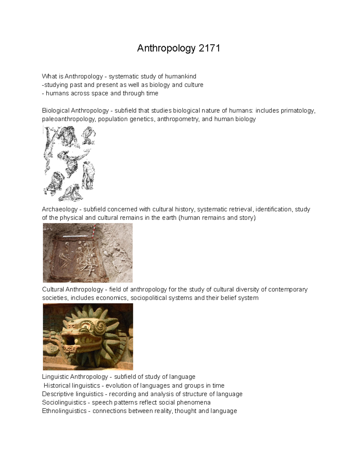 Anthropology 2171 Notes pt. 1 - Anthropology 2171 What is Anthropology ...