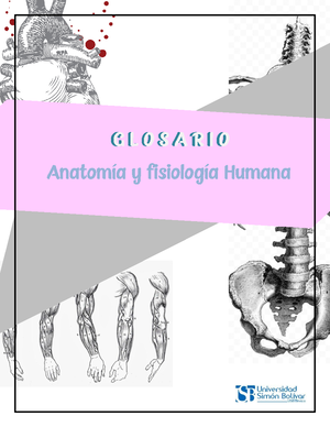 Región cigomática - anatomia topografica cabeza y cuello apuntes ...