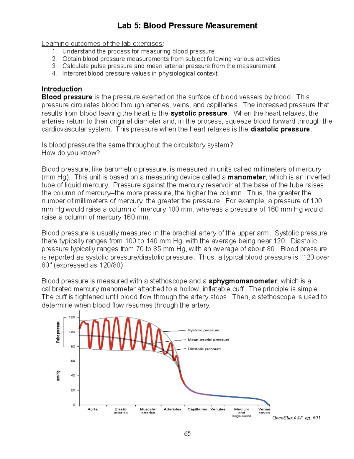 AP2 Lab5 Blood pressure measurement lab SP21 - Lab 5: Blood Pressure ...