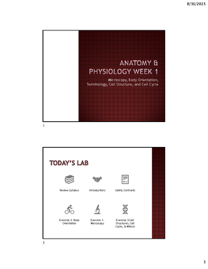 Lab Practical Exam 1 Study Guide - Study Guide for Practical 1 ...