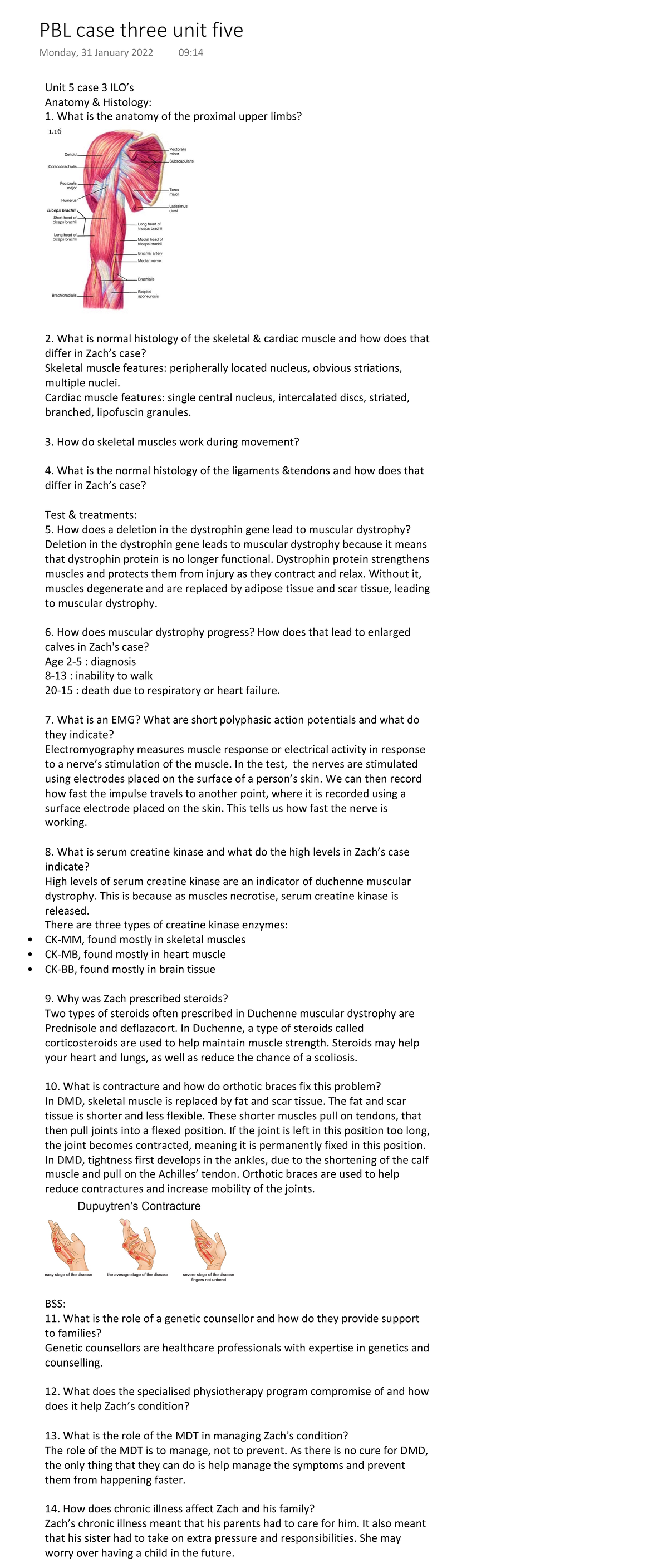 PBL case three unit five - Unit 5 case 3 ILO’s Anatomy & Histology ...