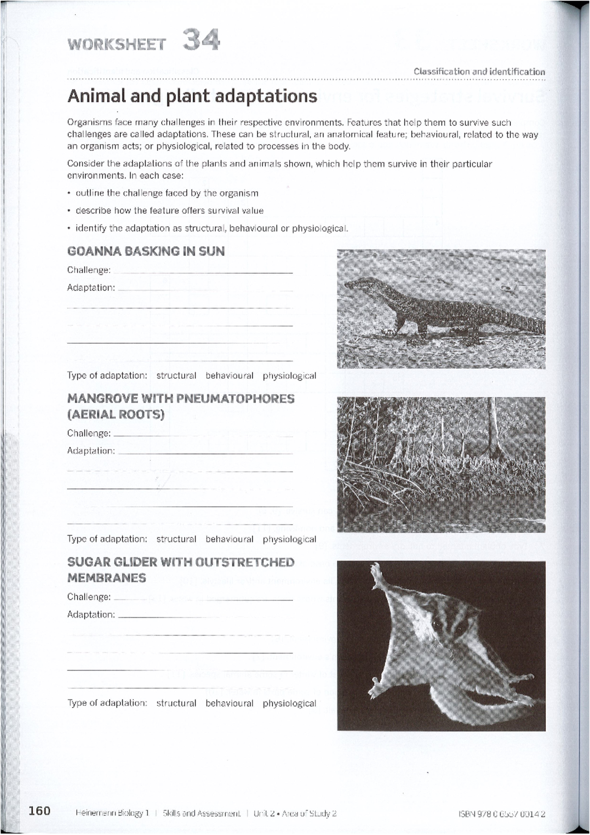 Animal and plant adaptations worksheet - BIO1022 - Studocu
