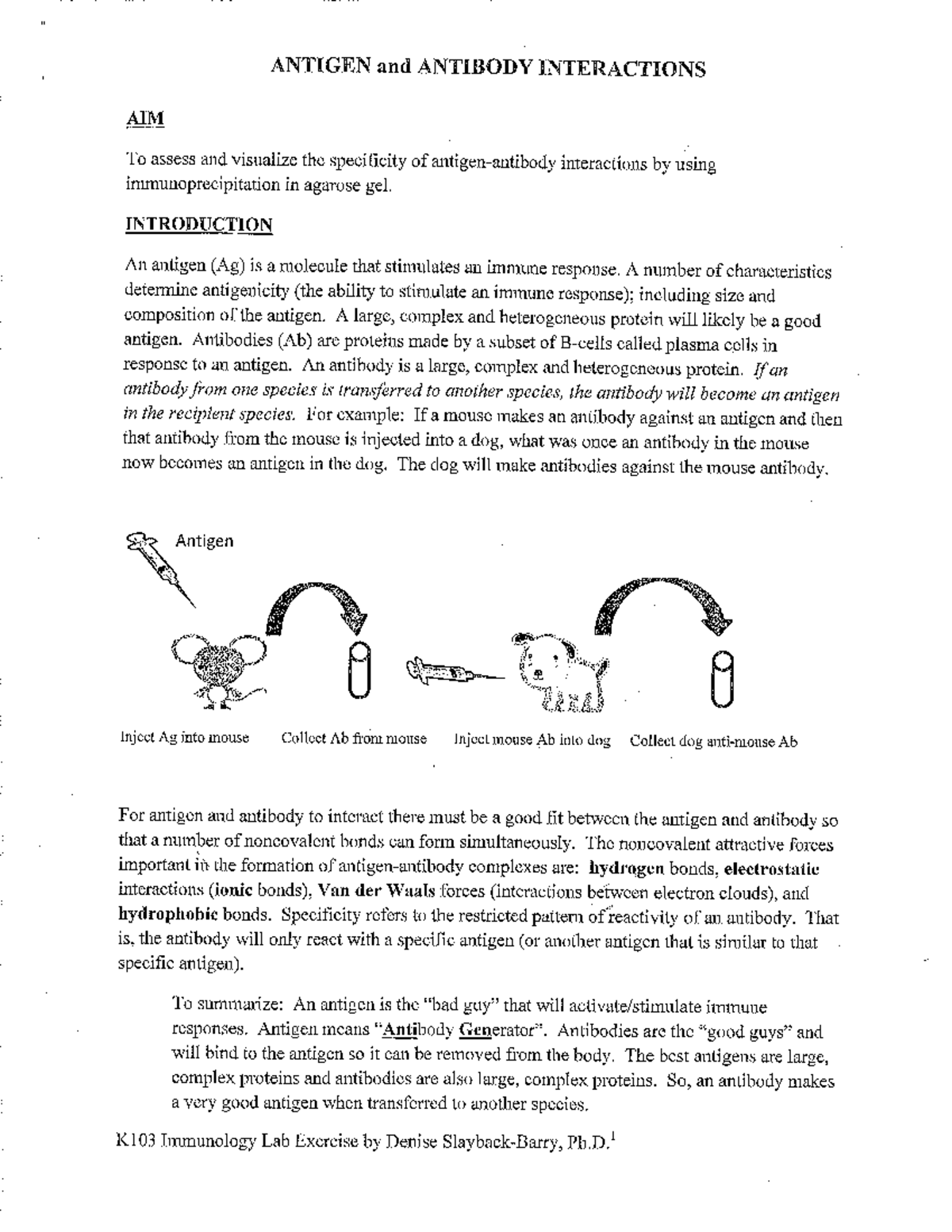 Wk10 Immunology lab - BIOL-K103 - Studocu