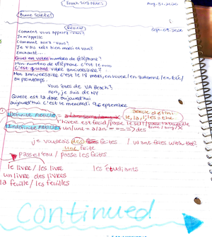 French 101 notes 1 - FRE 101 - Studocu