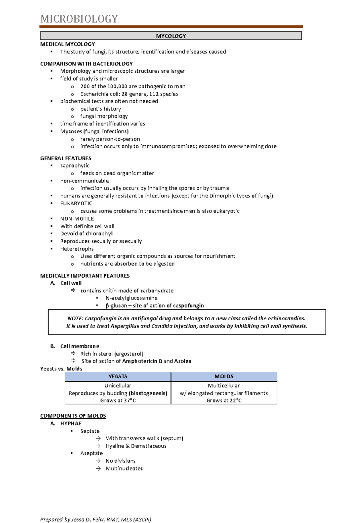 Mycology AND Virology - study notes - MEDICAL MYCOLOGY The study of ...
