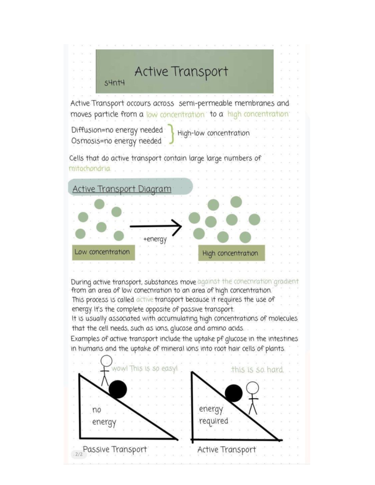 Transportation Practical - Active Transport s4nt4 Active Transport ...