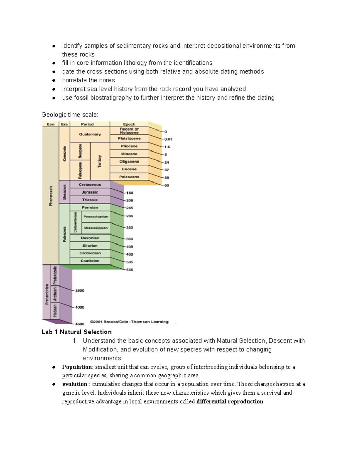 Geology lab final - identify samples of sedimentary rocks and interpret ...