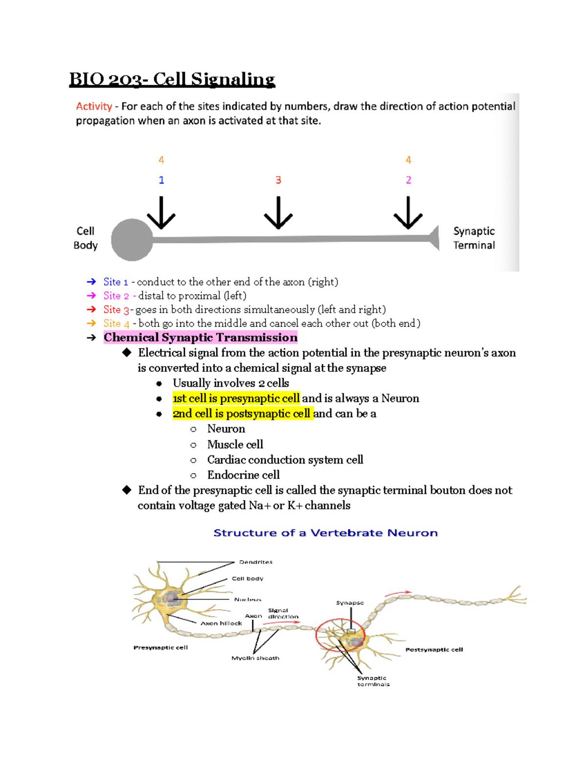 BIO 203-Cell Signaling - BIO 203- Cell Signaling Site 1 - conduct to ...