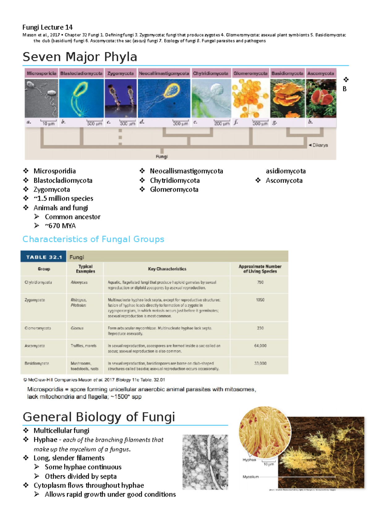 Notes Fungi Lecture 14 - Fungi Lecture 14 Mason et al., 2017 • Chapter ...