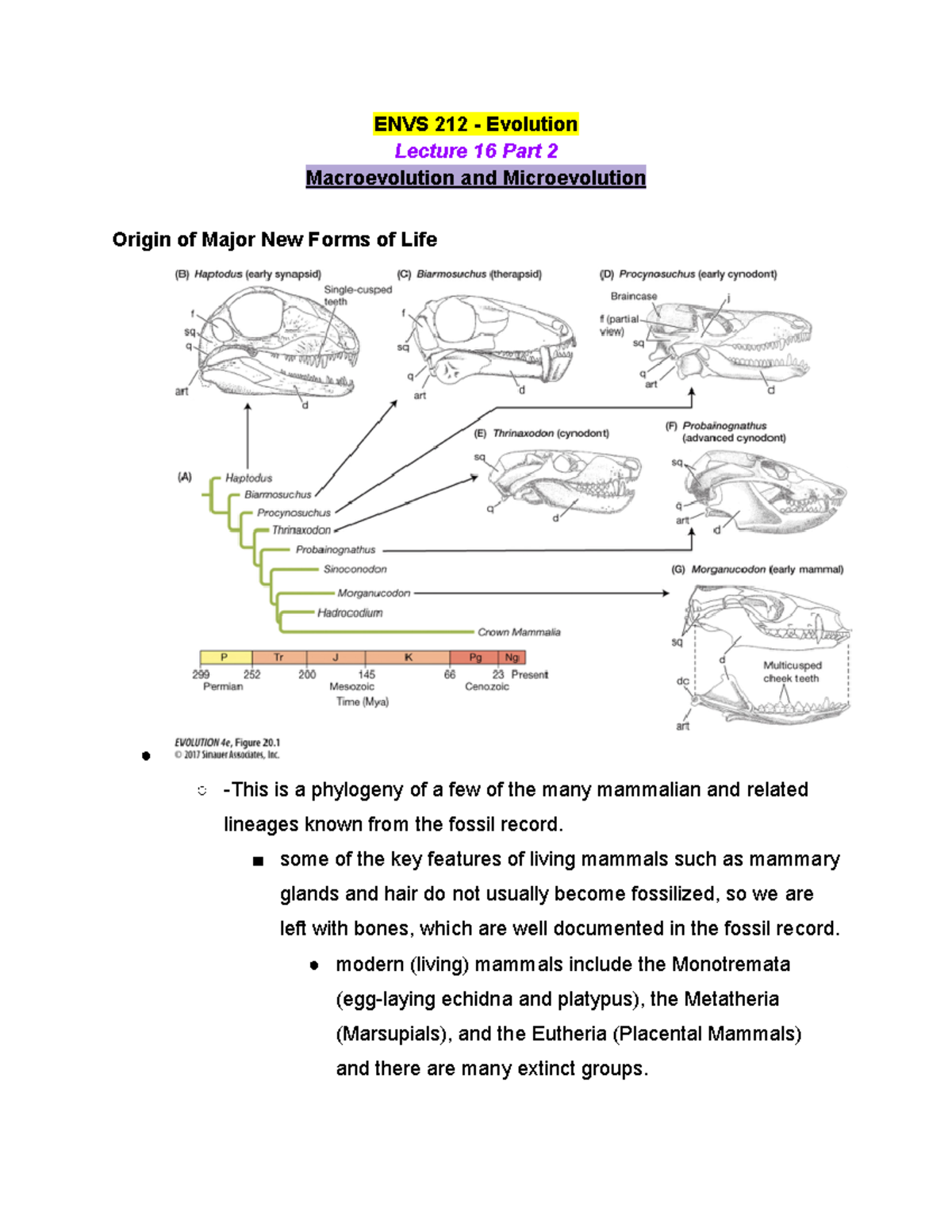 ENVS 212 Lecture 16 Part 2 - Spring 2020 - ENVS 212 - Evolution Lecture 16 Part 2 Macroevolution ...