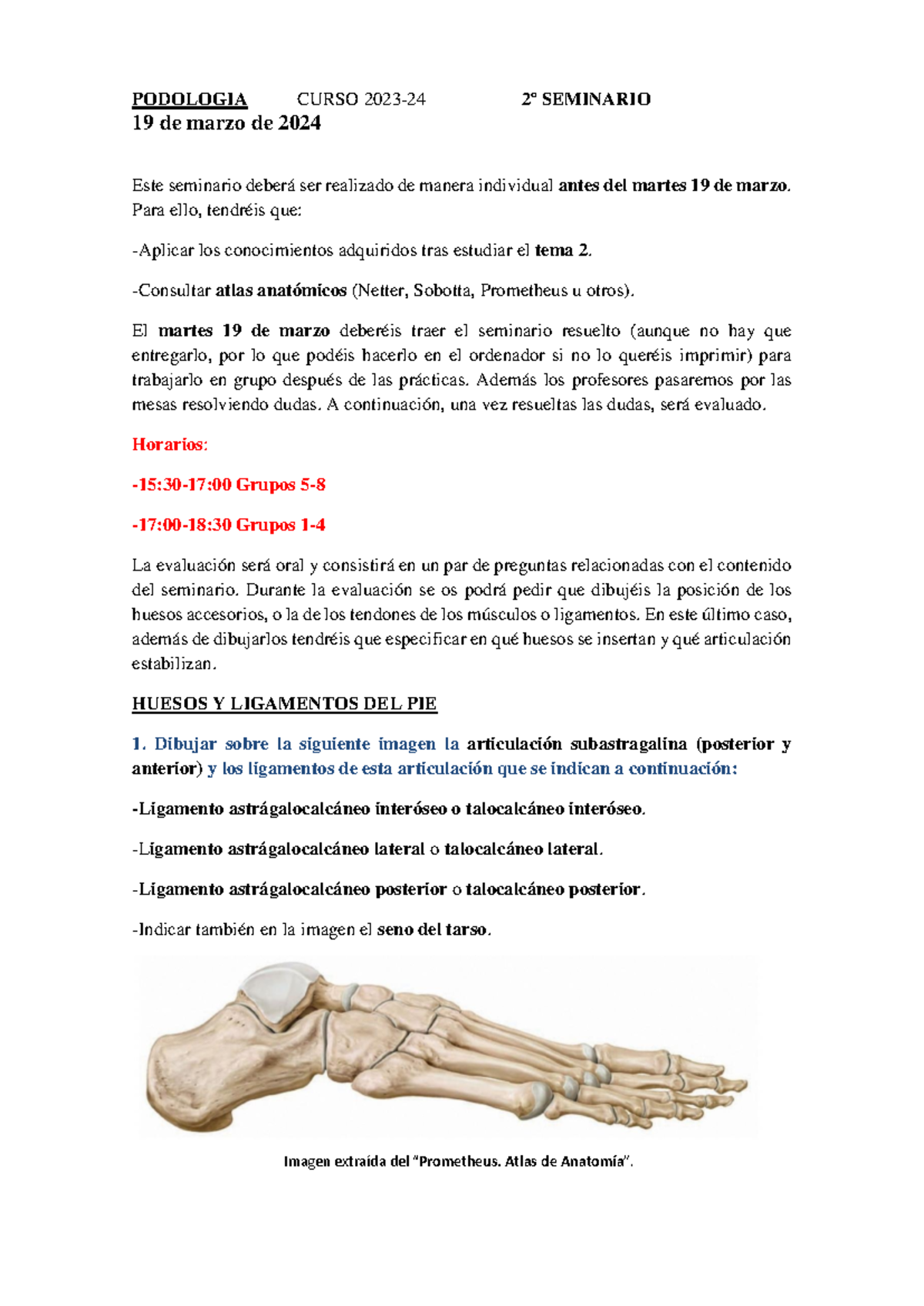 3. 2º seminario 2023-24. Ligamentos DEL PIE - PODOLOGIA CURSO 2023- 24 ...