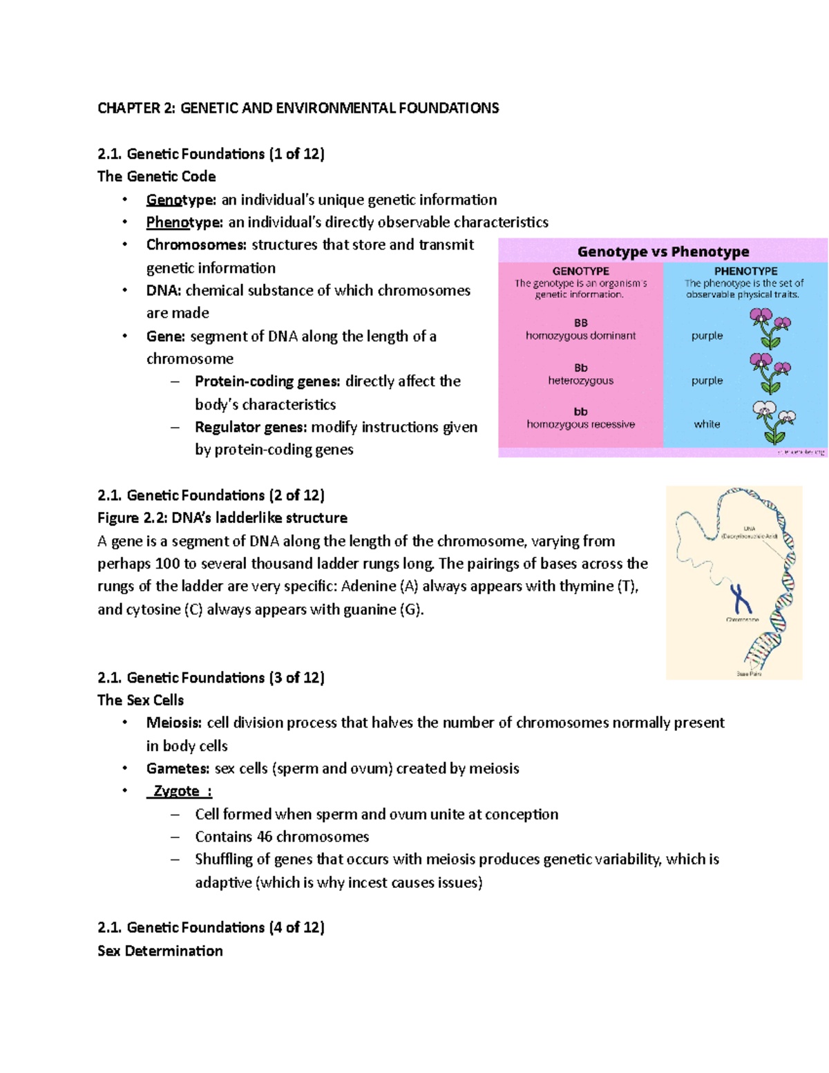 Ch2, Genetic and Environmental Foundations, HDFS212 - CHAPTER 2 ...