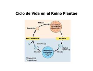 GUÍA DE Estudio PARA EL Examen Final - CURSO: BOTÁNICA GENERAL GUÍA DE ...