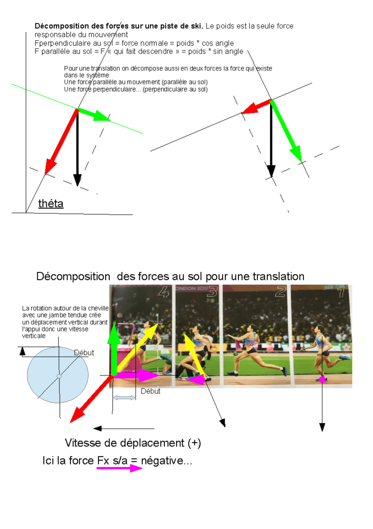 Cours CM1 Biomécanique - Vitesse de déplacement (+) Ici la force Fx s/a ...