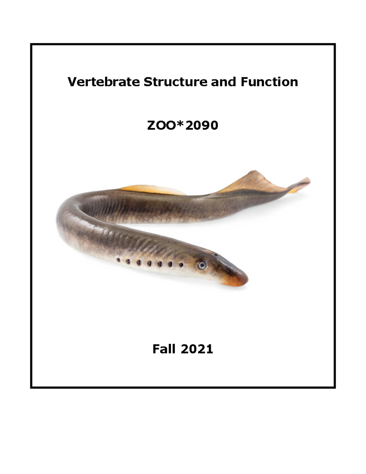 ZOO 2090 Lab Manual - Vertebrate Structure and Function ZOO* Fall 2021 VERTEBRATE STRUCTURE AND ...