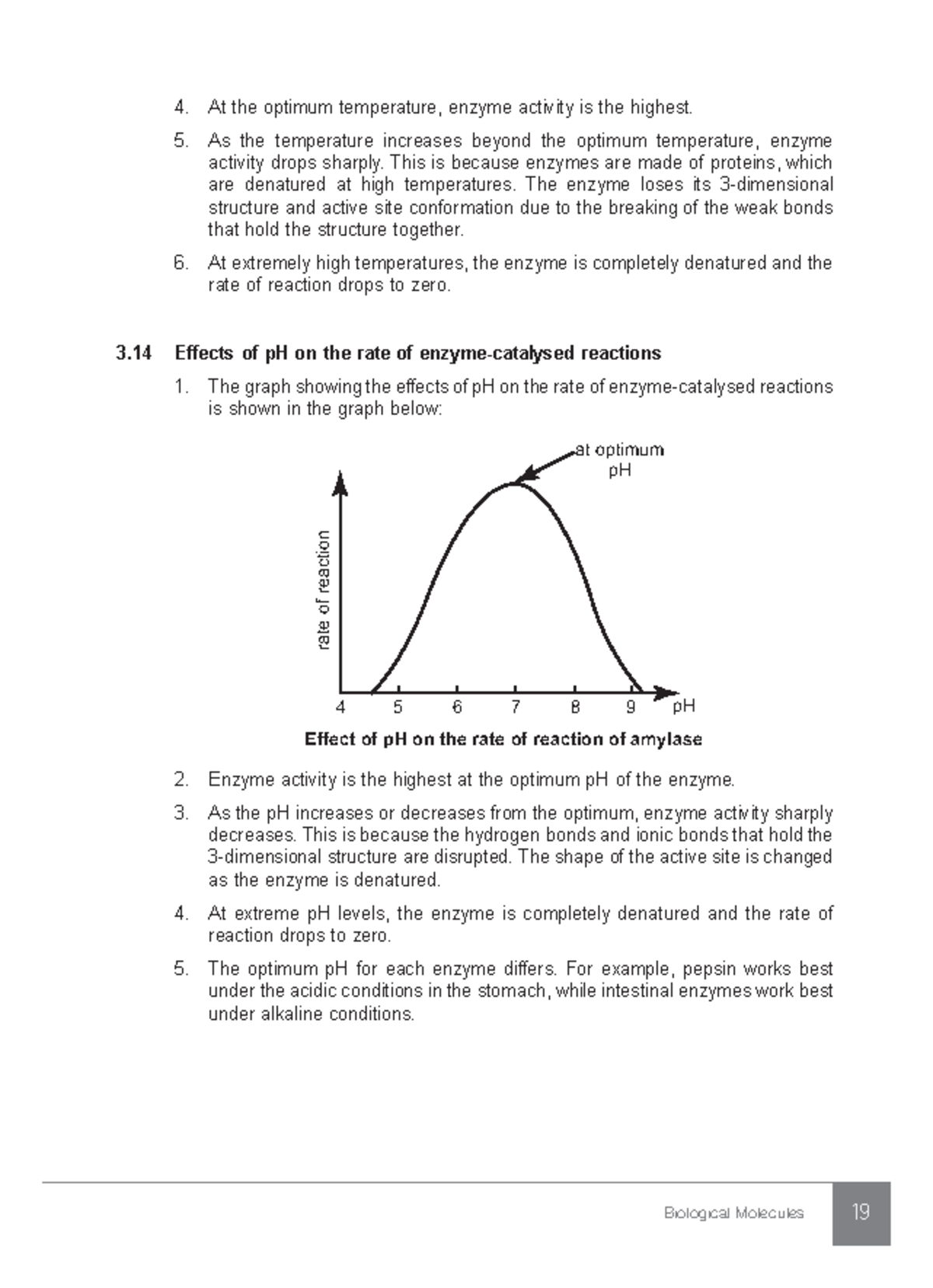 25 - hello - Biological Molecules 19 At the optimum temperature, enzyme ...