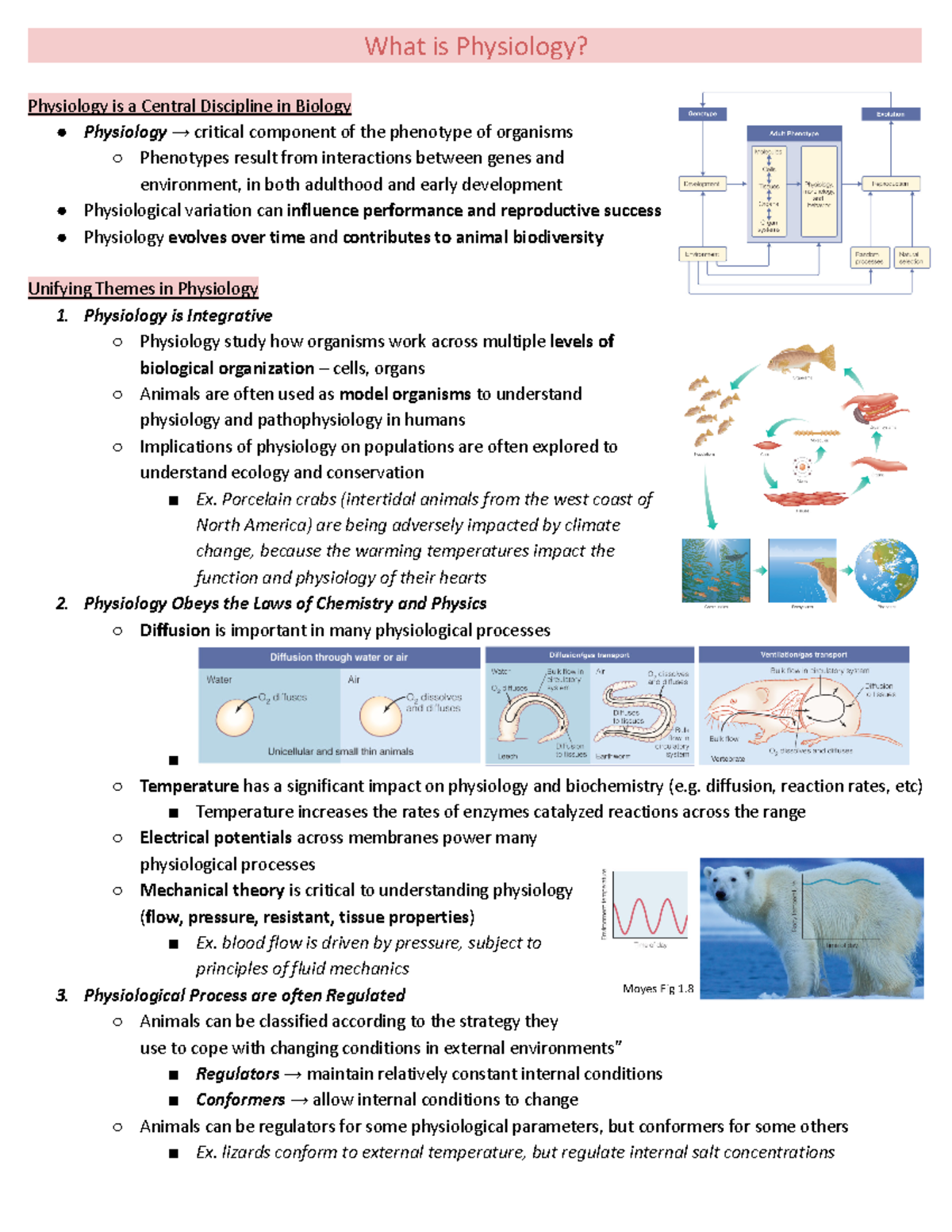 1. What is Physiology - What is Physiology