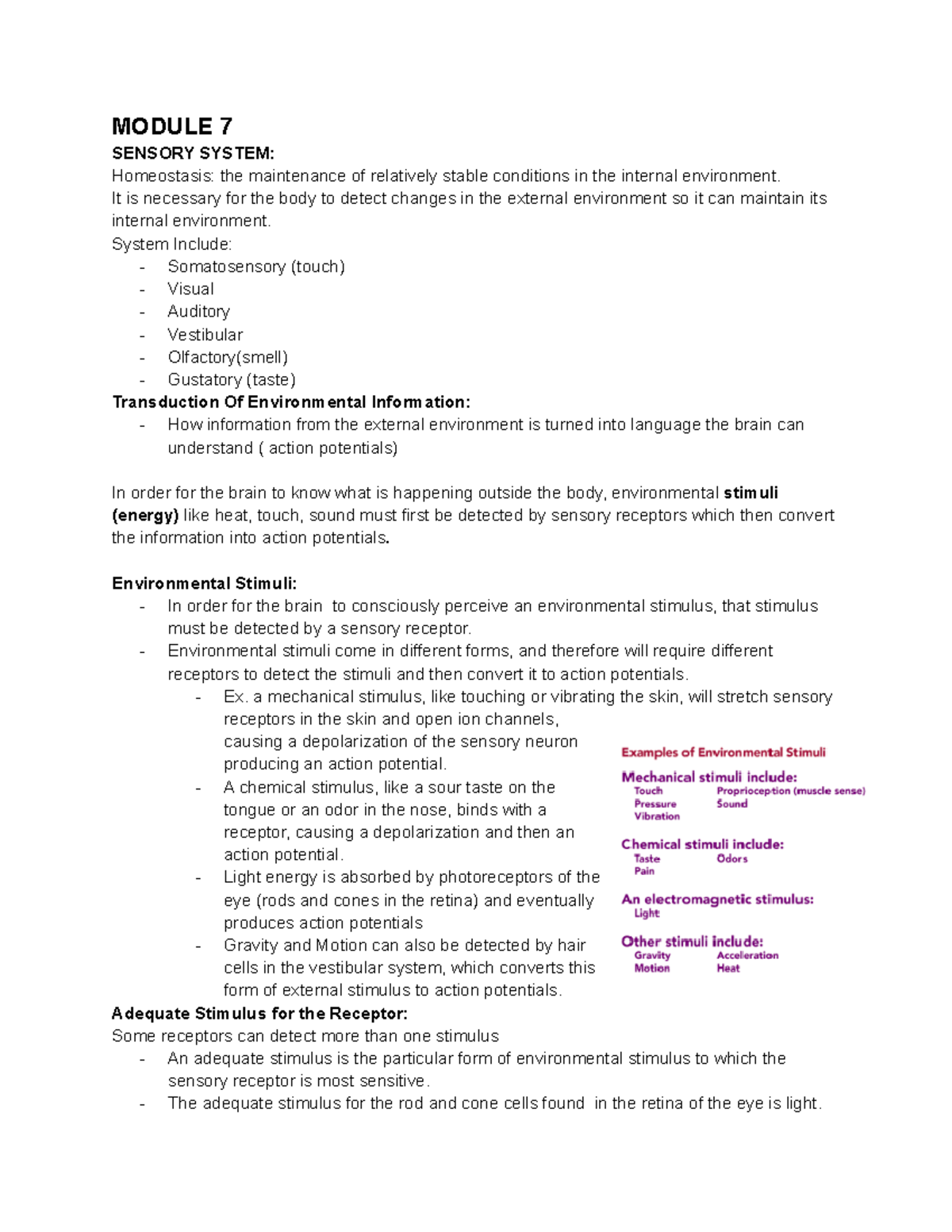 Module 7 - Lecture notes on Mod 6-7 - MODULE 7 SENSORY SYSTEM ...