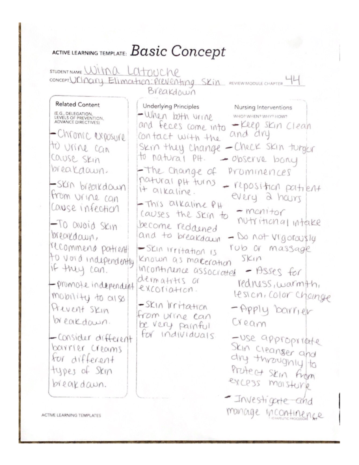 Basic Concept - binder - NR-325 - Chamberlain University - Studocu