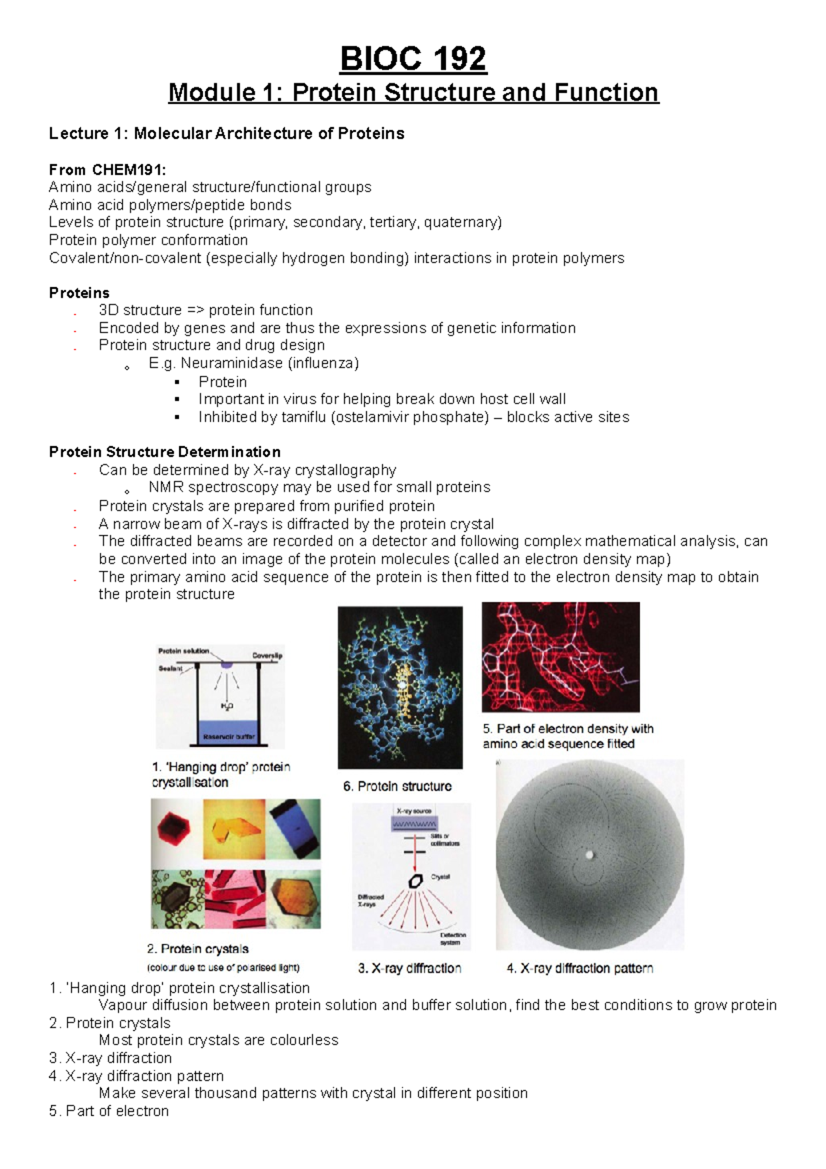 Bioc 192 Lecture Notes Module 1 Bioc 192 Module 1 Protein Structure And Function Lecture 1