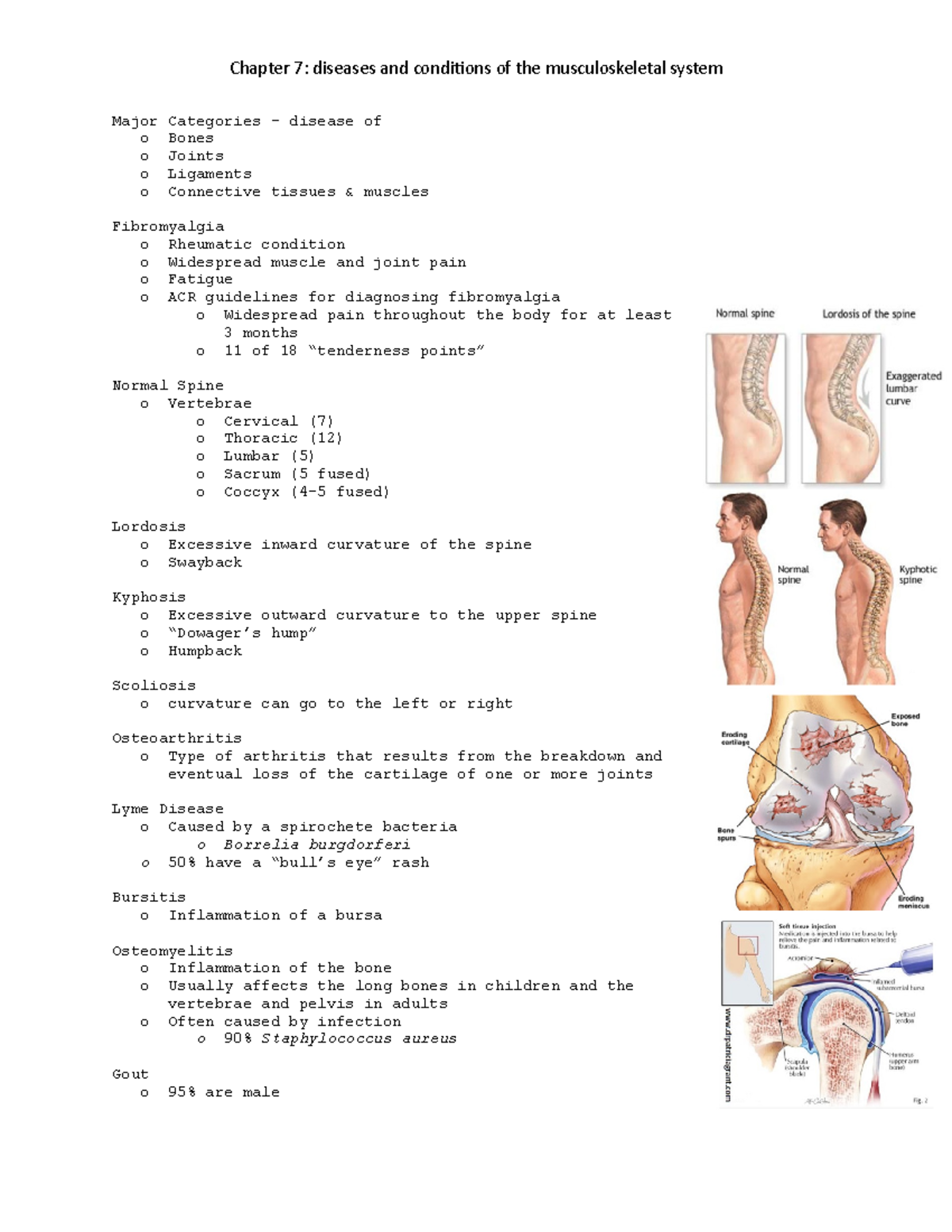 Pathology ch 7 - MS - Major Categories – disease of o Bones o Joints o ...