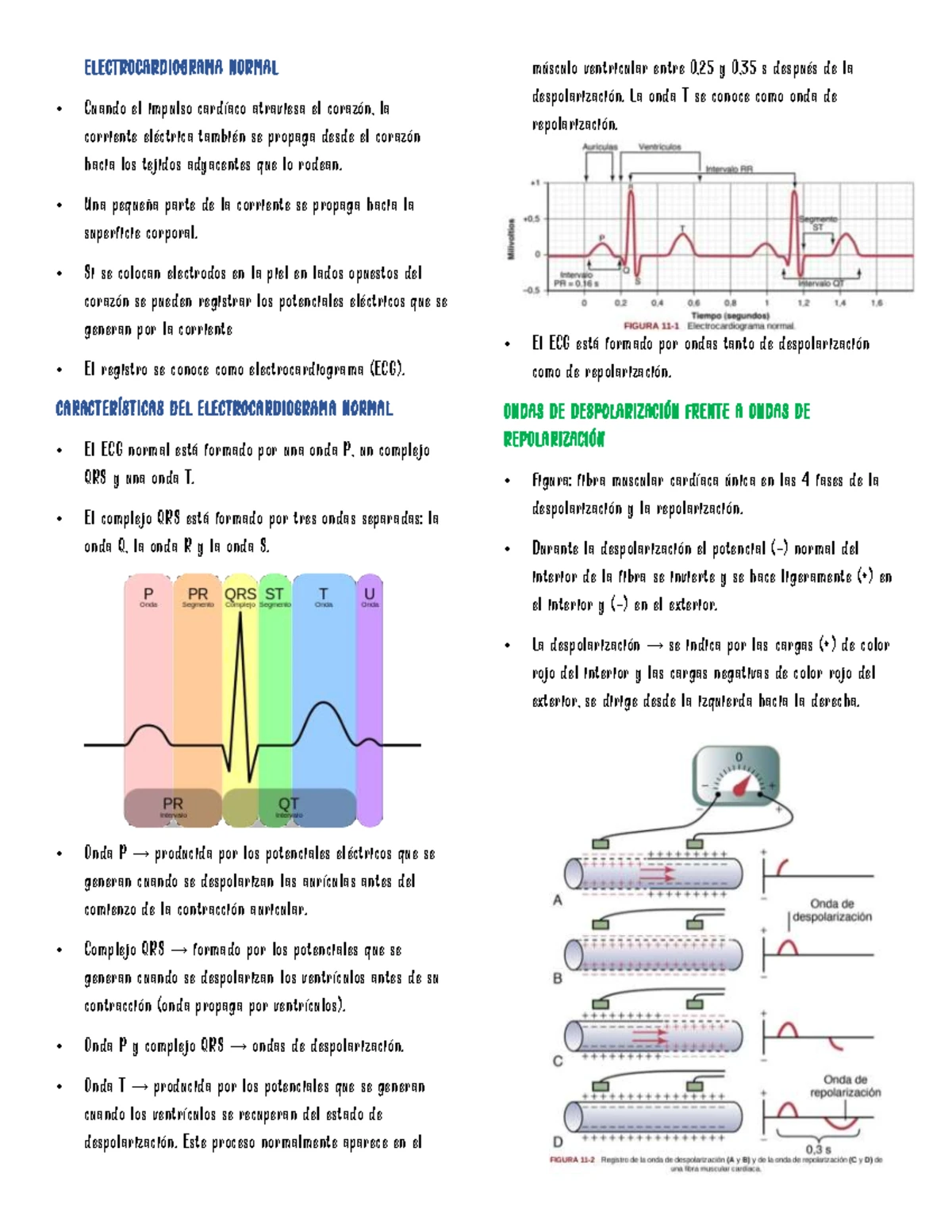 Lectura de un electrocardiograma normal - LECTURA SISTEMÁTICA Verificar ...