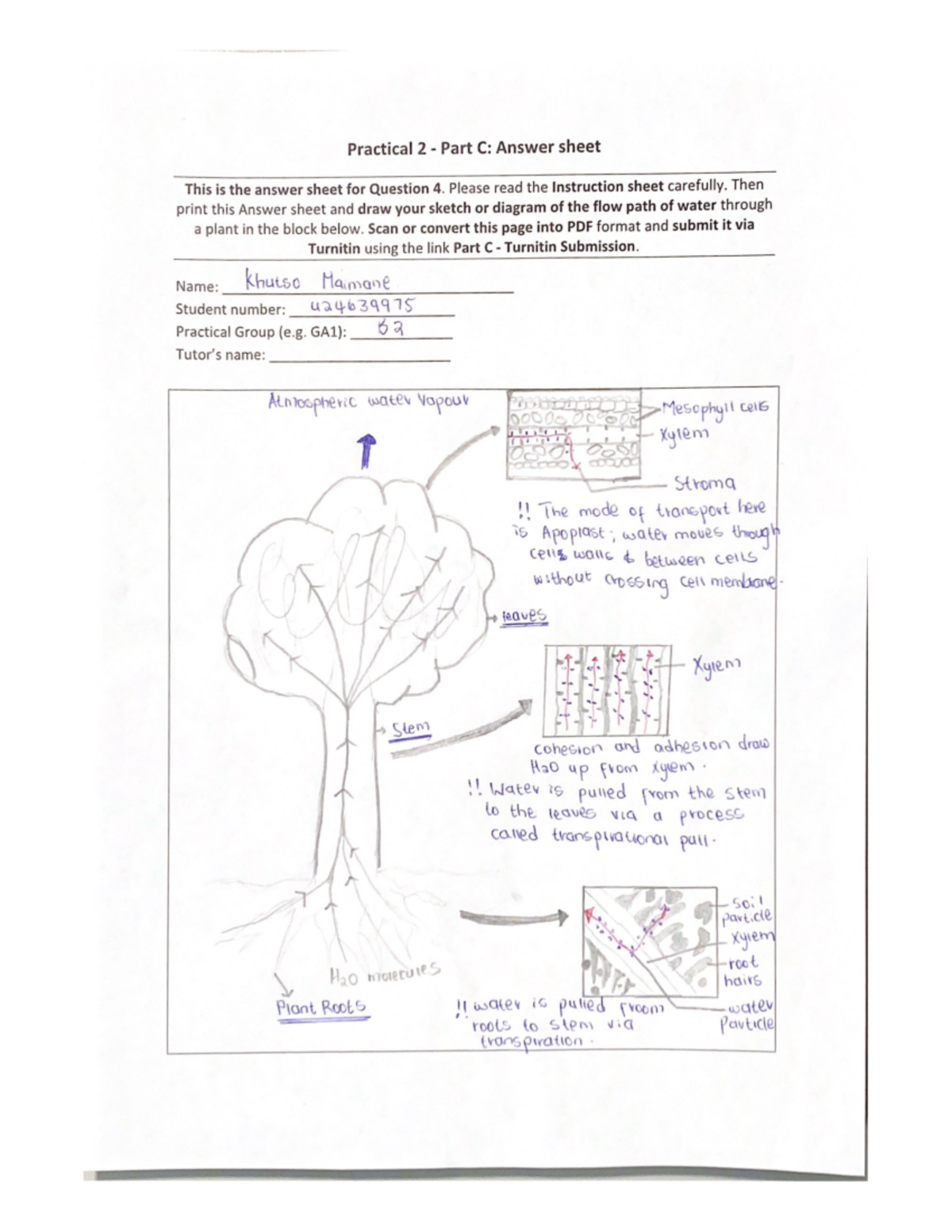 Practical 2 - Part C Answer sheet - Please read the Instruction sheet ...