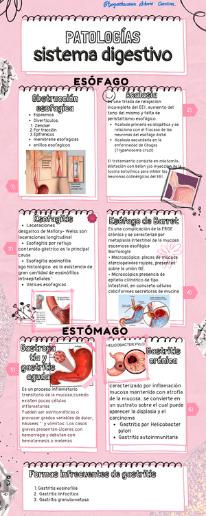 Tratamiento - La triple terapia para el helicobacter pylori - ESQUEMA ...