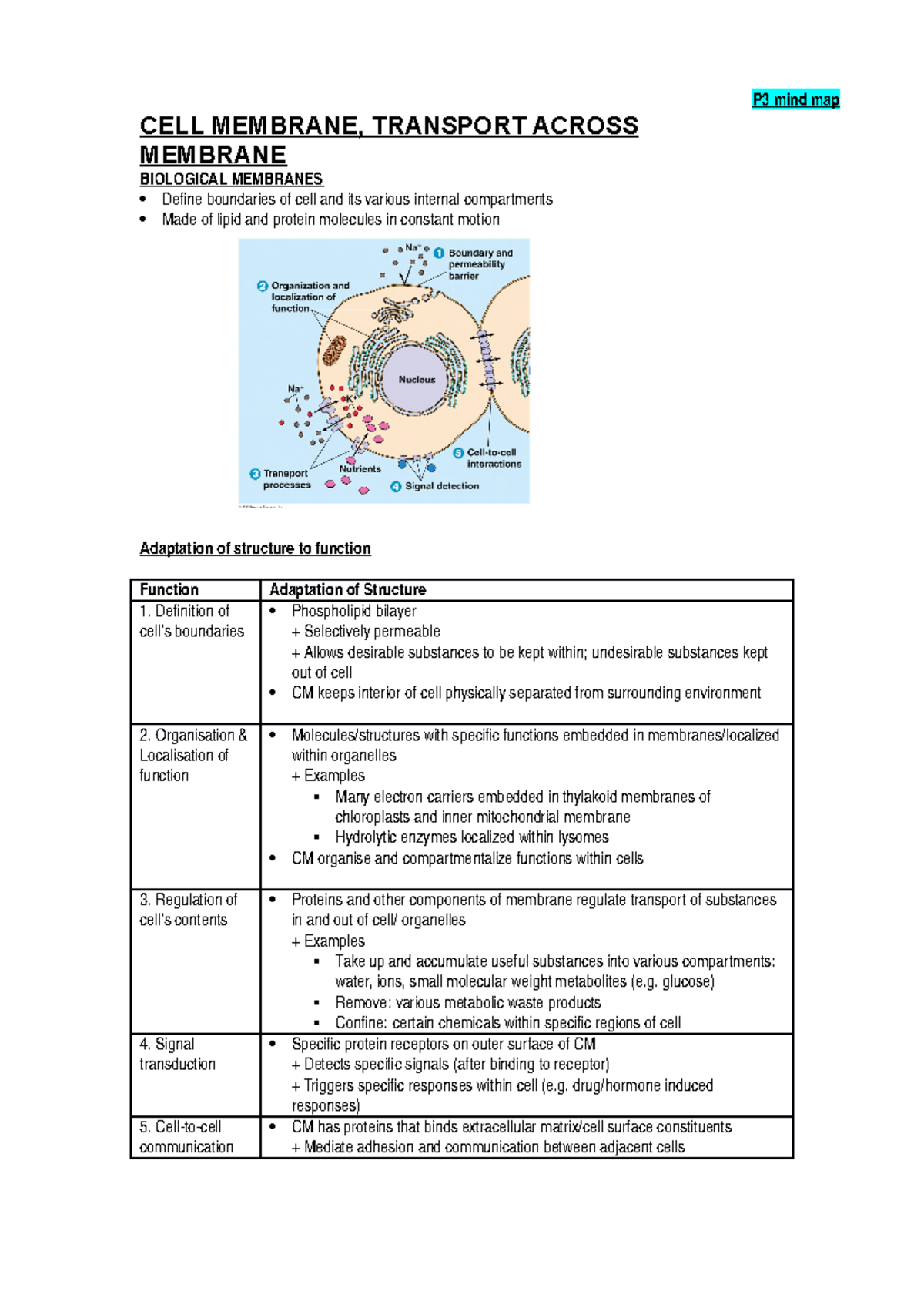 Neurophysiology part 1 - Plasma membrane & Membrane transport - P3 mind ...