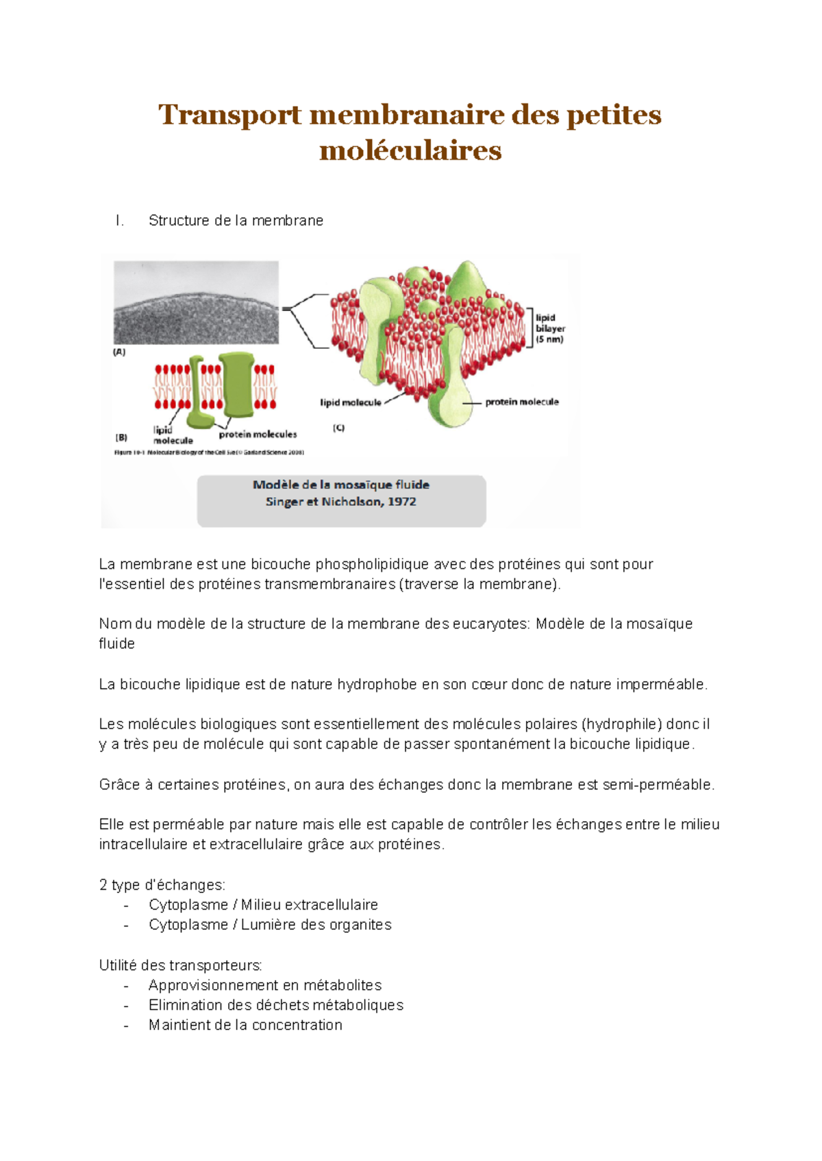 Transport membranaire des petites moléculaires - Structure de la ...