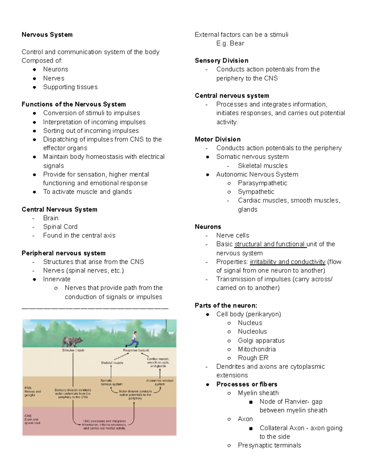 Nervous System Recorded Lecture - Nervous System Control and ...