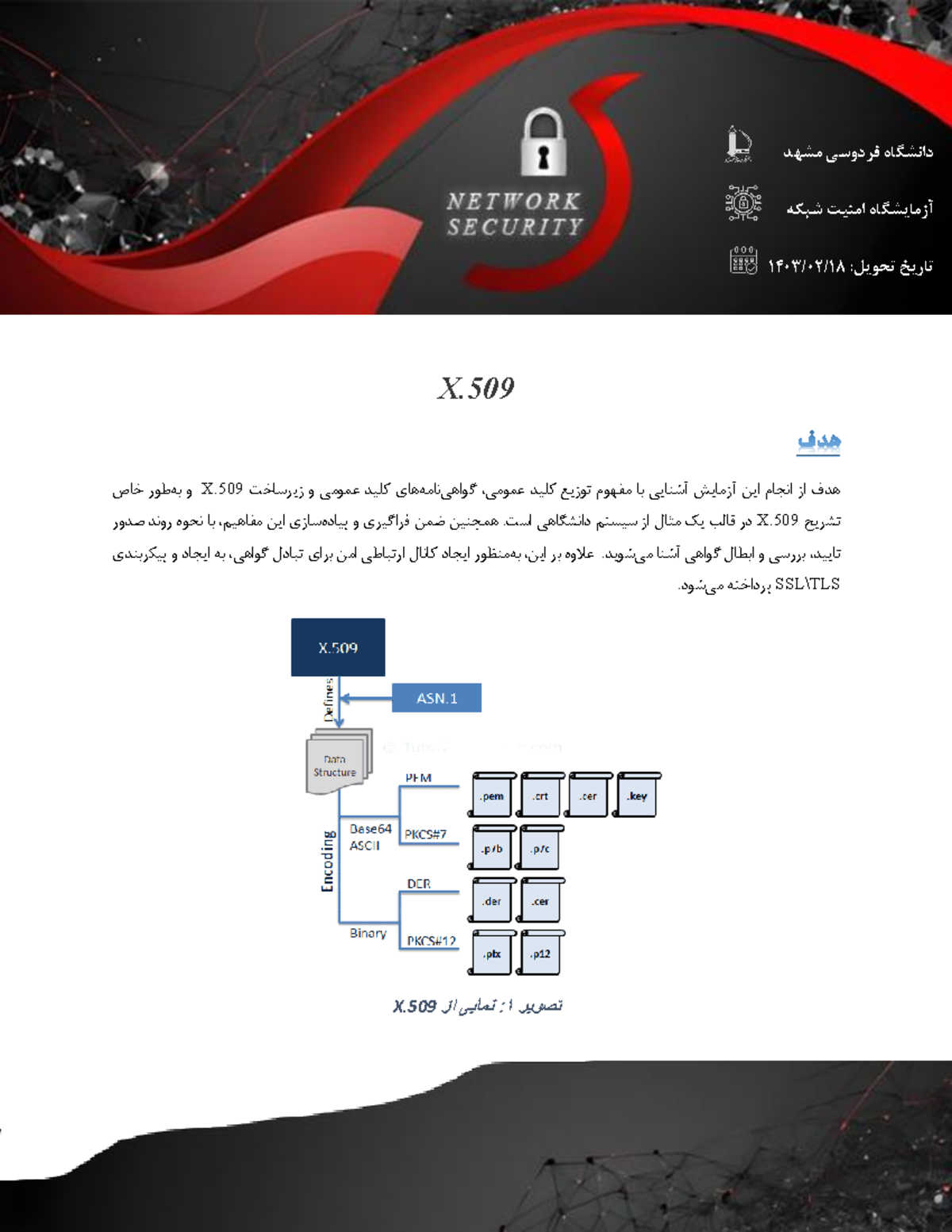 Network Security Lab 4 - امنیت شبکه : تاریخ تحویل : دانشگاه فردوسی مشهد آزمایشگاه امنیت شبکه ...