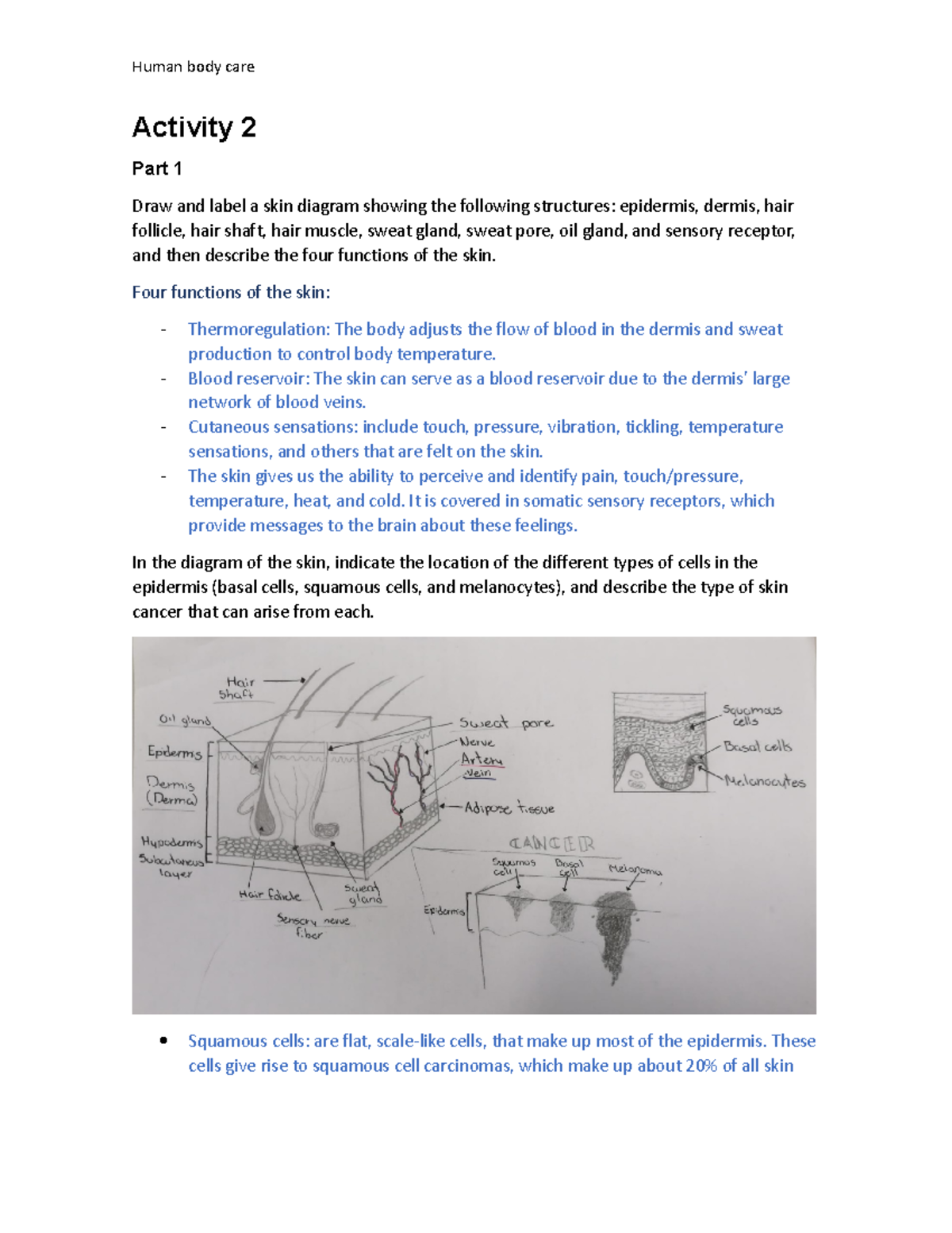 Activity 2 - HBC - Actividad 2 modulo 1 - Activity 2 Part 1 Draw and ...