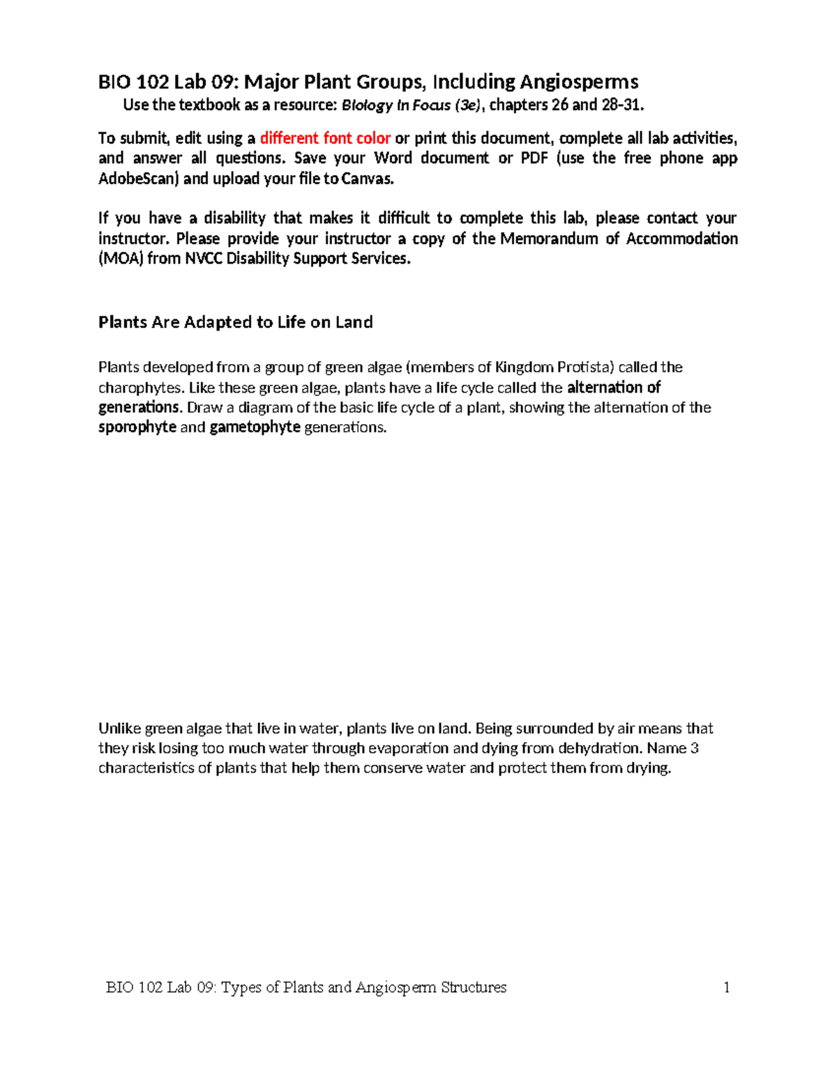 BIO+102+Lab+08%2C+Major+Plant+Groups - BIO 102 Lab 09: Major Plant ...