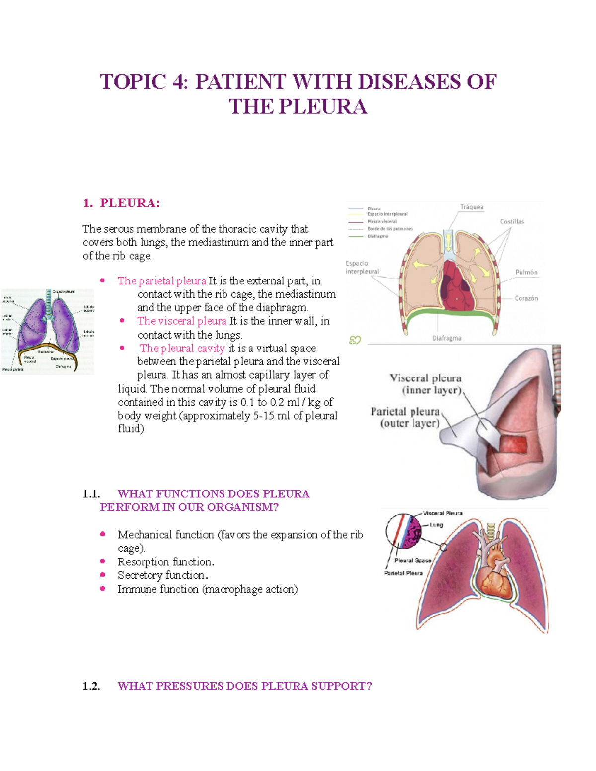 Lesson 4 Medical Terminology - TOPIC 4: PATIENT WITH DISEASES OF THE ...
