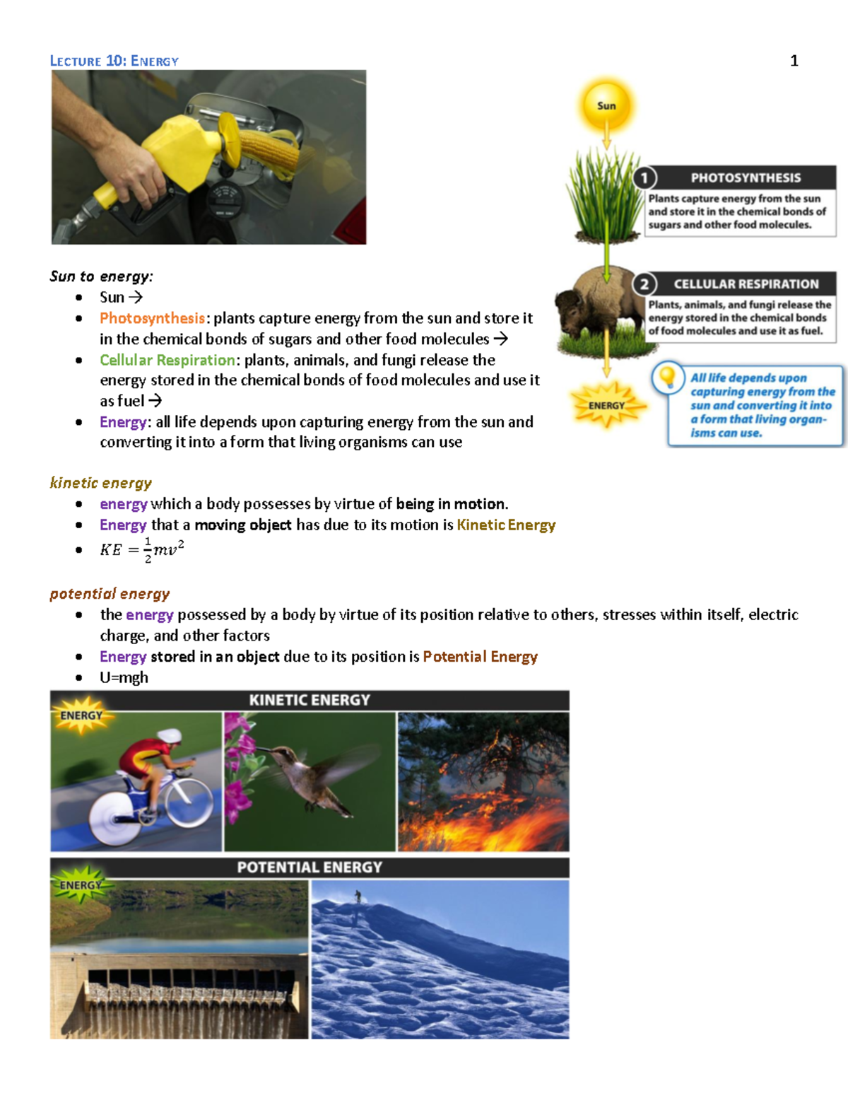 Lecture 10- Energy - Angel C. Pimentel - LECTURE 10: ENERGY 1 Sun to ...