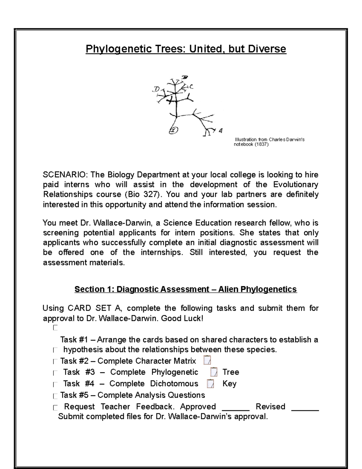 Student Worksheet and Handouts - Phylogenetic Trees: United, but ...