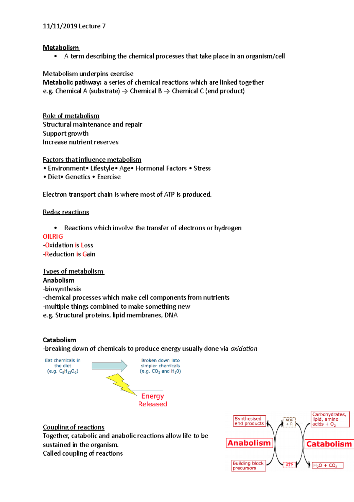 Metabolism L7 - Physiology module- Ian Varley - Metabolism - A term ...