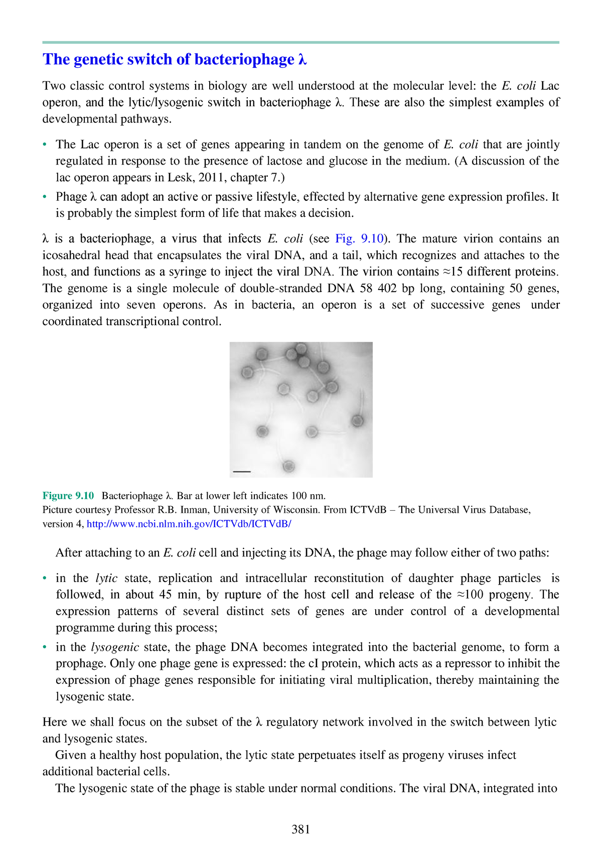 Introduction of Bioinformatics - Notes-96 - The genetic switch of ...