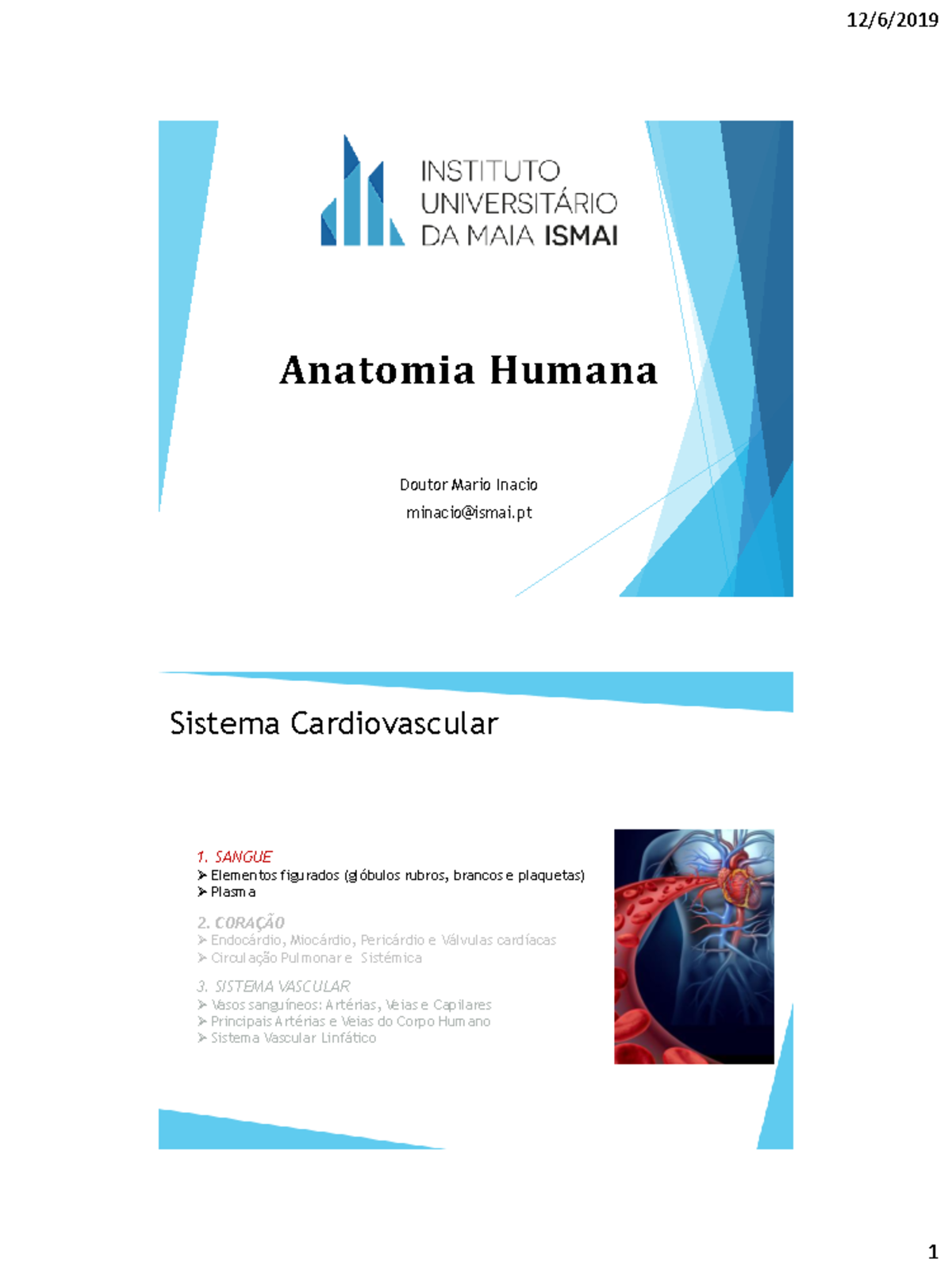 Sistema Cardiovascular - Anatomia Humana Doutor Mario Inacio minacio ...