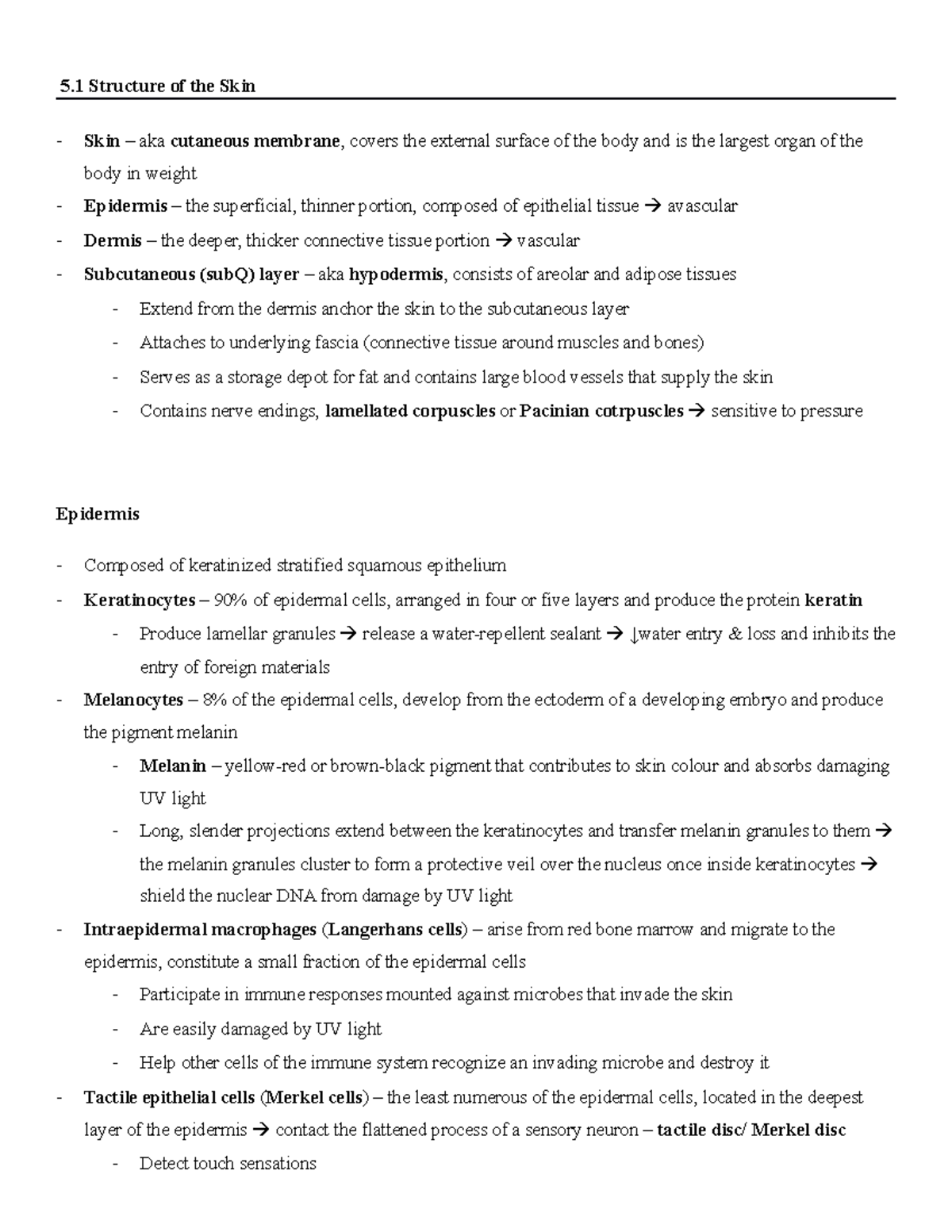 Chapter 5 - lecture notes - 5 Structure of the Skin Skin – aka ...