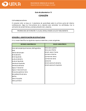La administración sublingual es una vía que se caracteriza por una ...