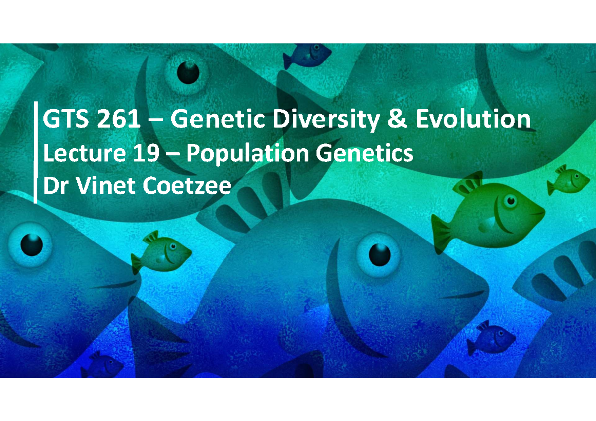 SU4 Lecture 6 1spp - ＀ 怀怀怀怀怀怀怀怀＀怀怀怀怀怀怀＀怀＀怀怀怀怀怀 怀怀怀怀怀怀 怀怀怀＀怀怀怀怀怀怀怀怀怀怀怀怀 ...