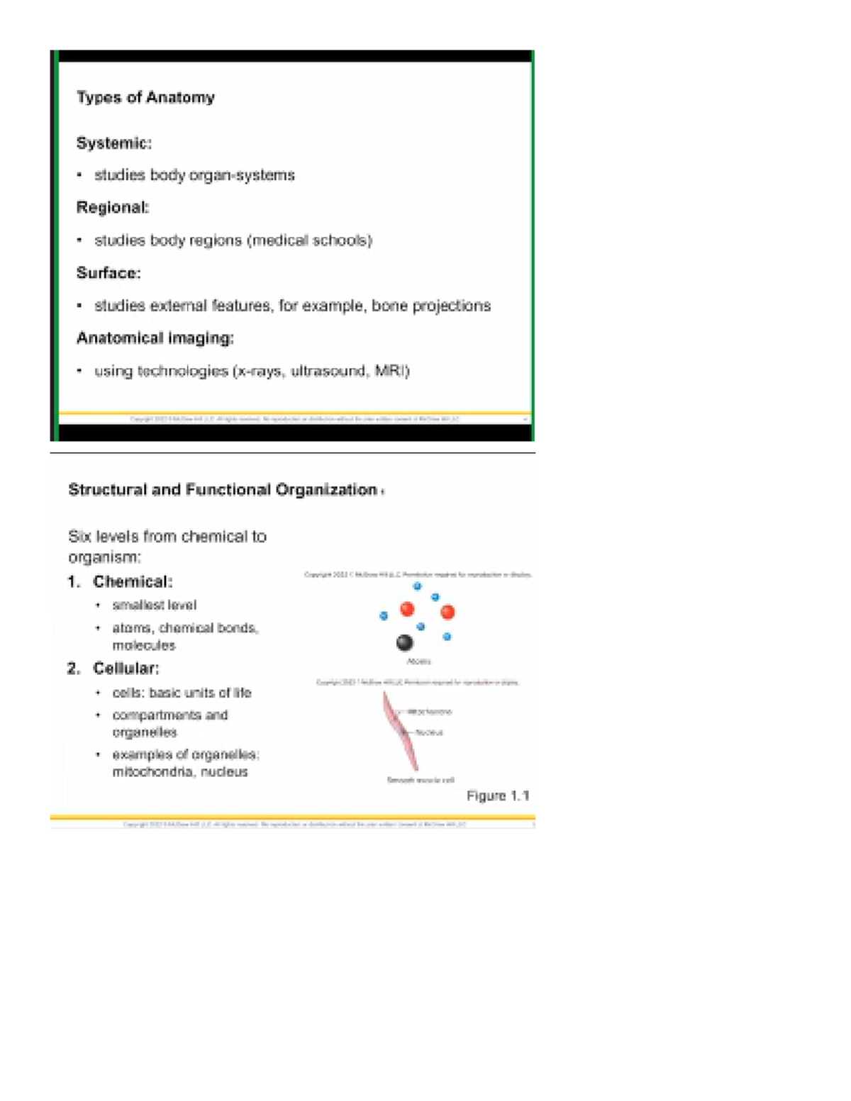 Anaphy 2ndsem - ANATOMY and Physiology, Nursing - Studocu