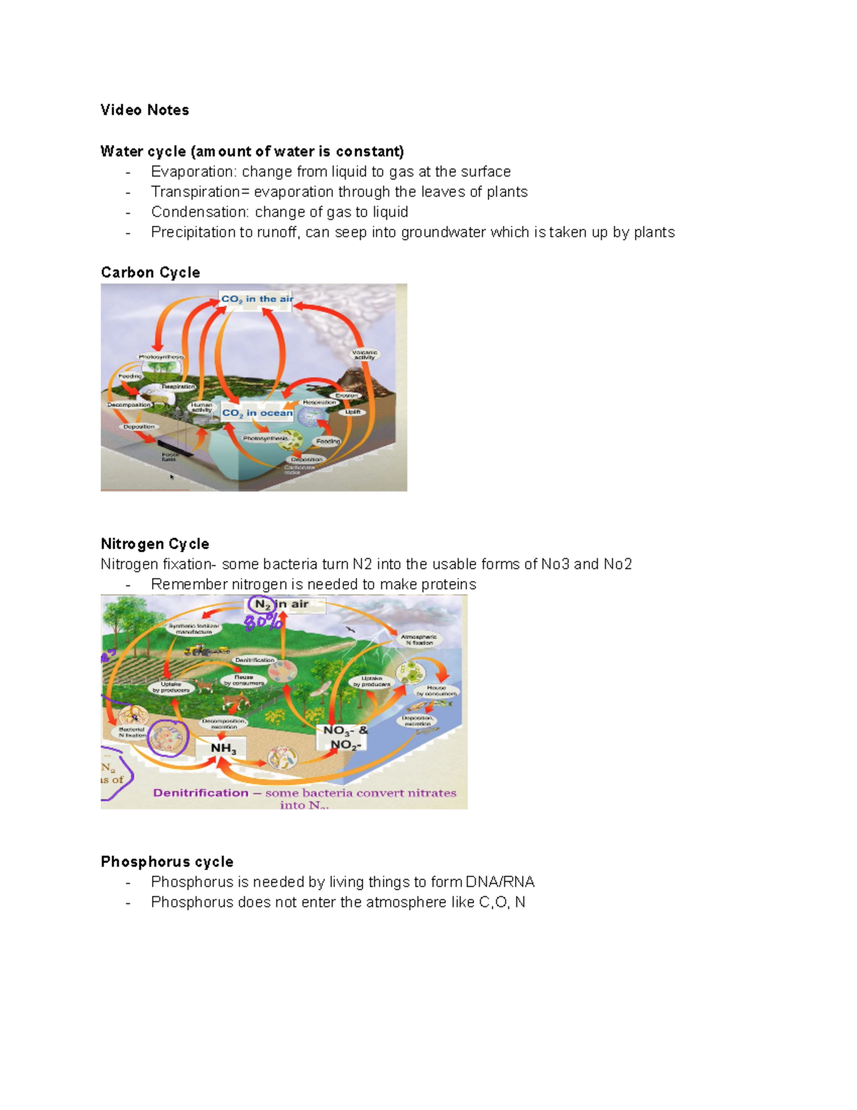 12 2 Biogeochemistry Lesson 1 - Video Notes Water cycle (amount of ...