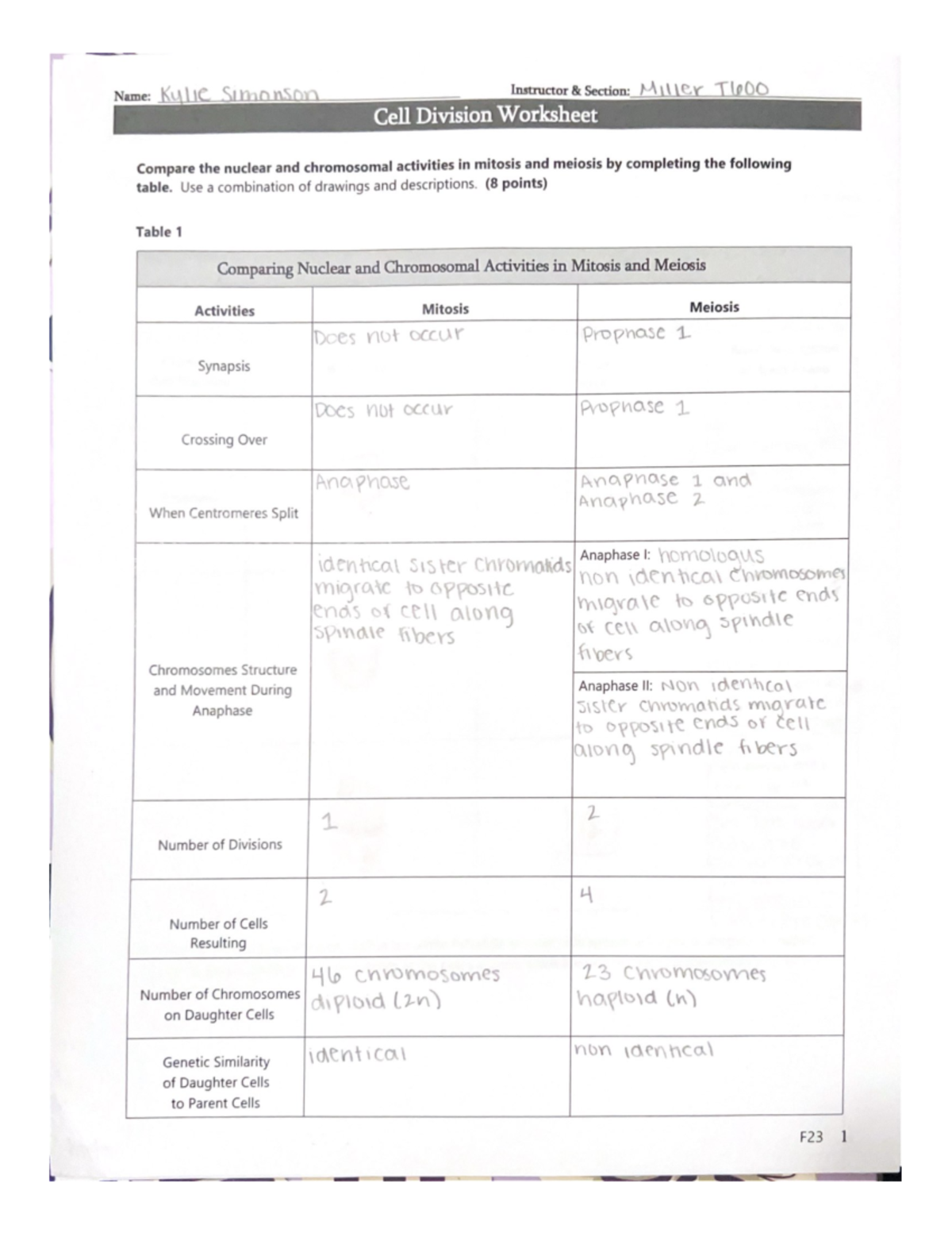 KSimonson Cell Division Worksheet - BIO-181L - Studocu