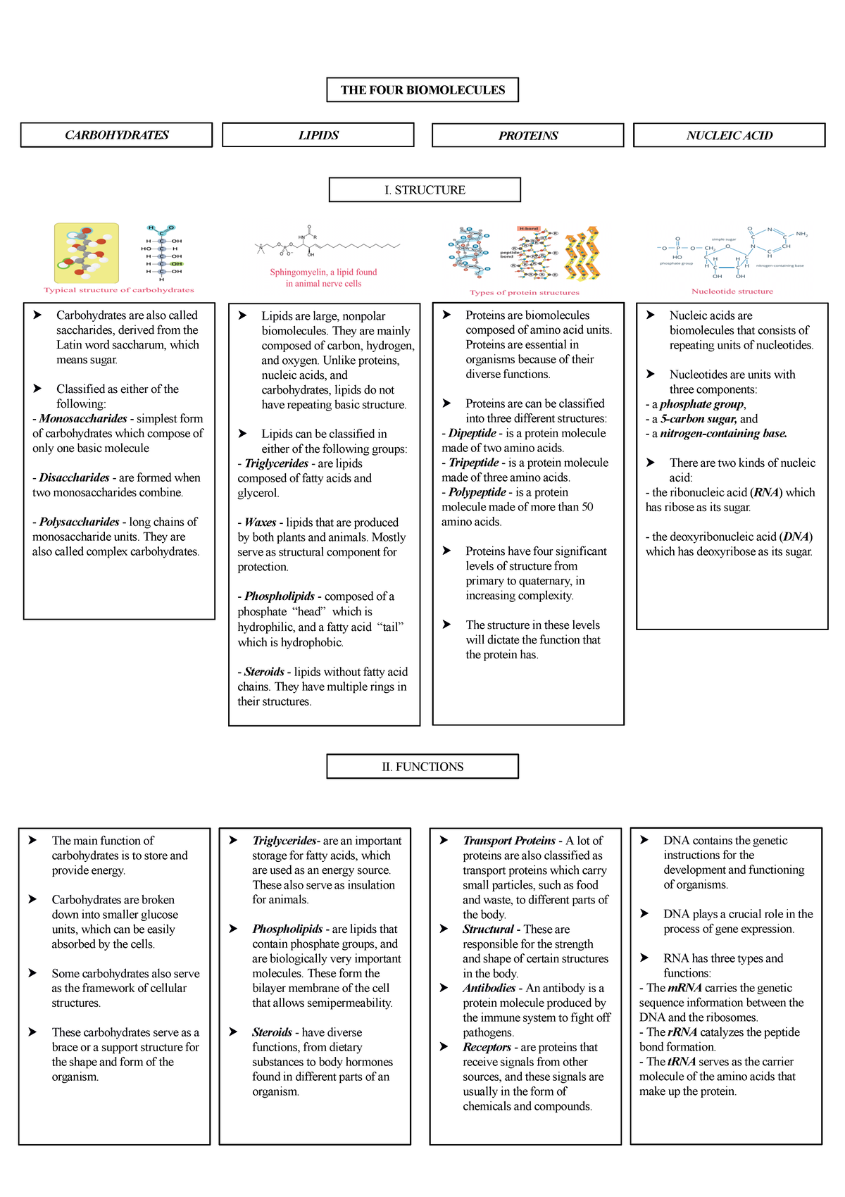 THE FOUR Biomolecules - General Biology - THE FOUR BIOMOLECULES I ...